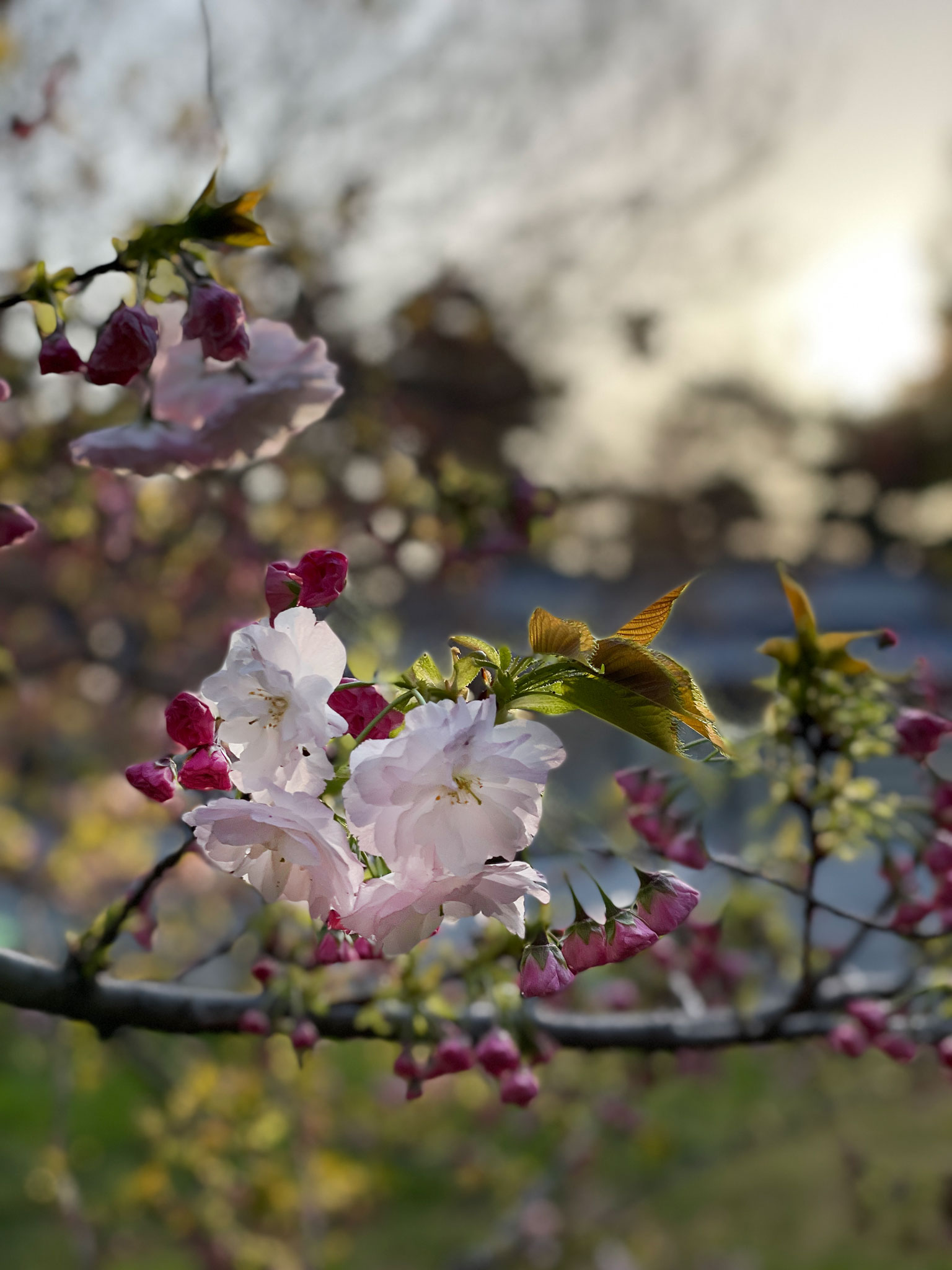 Announcement of the Opening of the Kogei Art KYOTO Website | Our ...