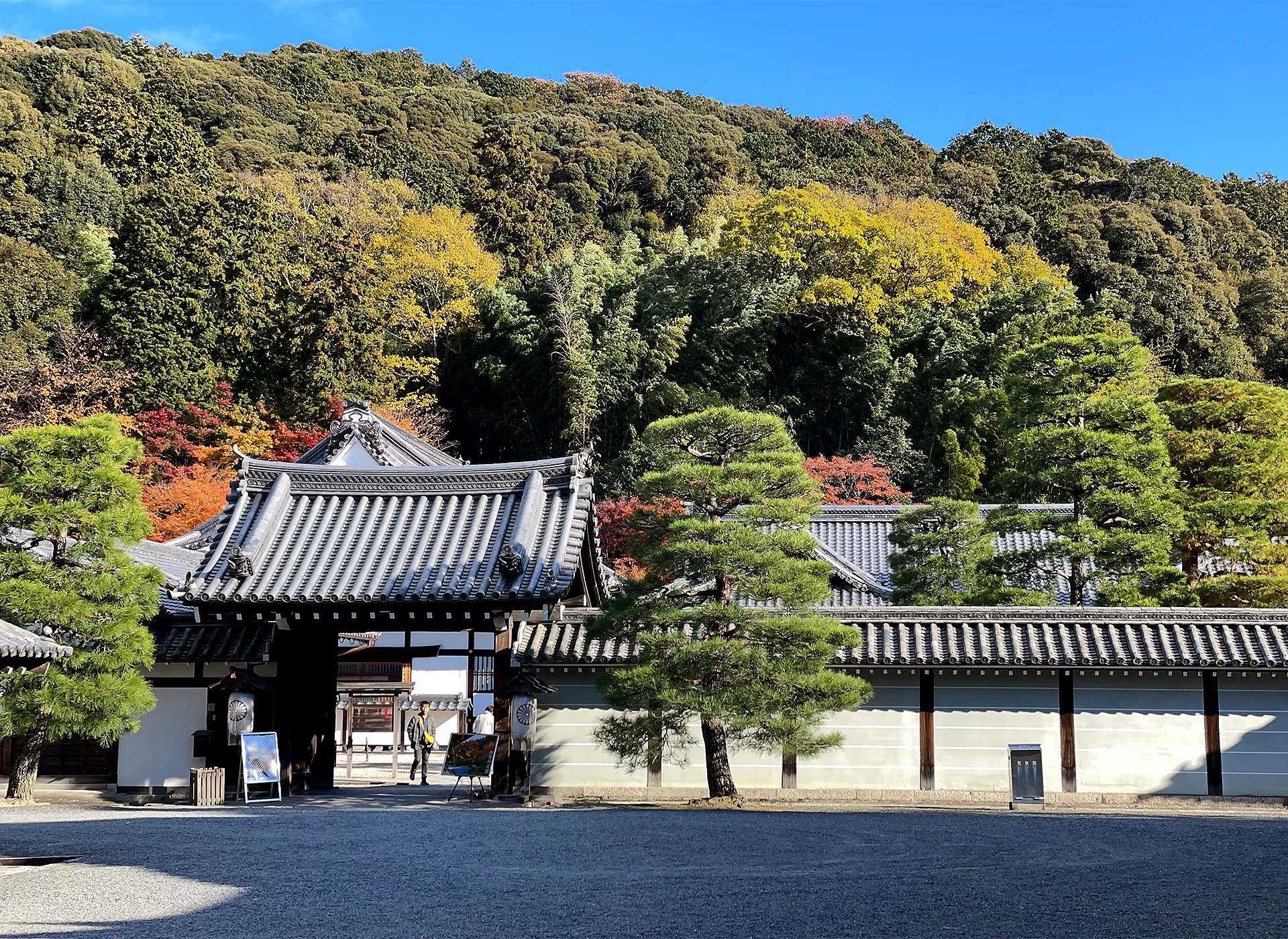 Kogei Art KYOTO Artists Exhibition Report | Exhibition review | Kogei ...