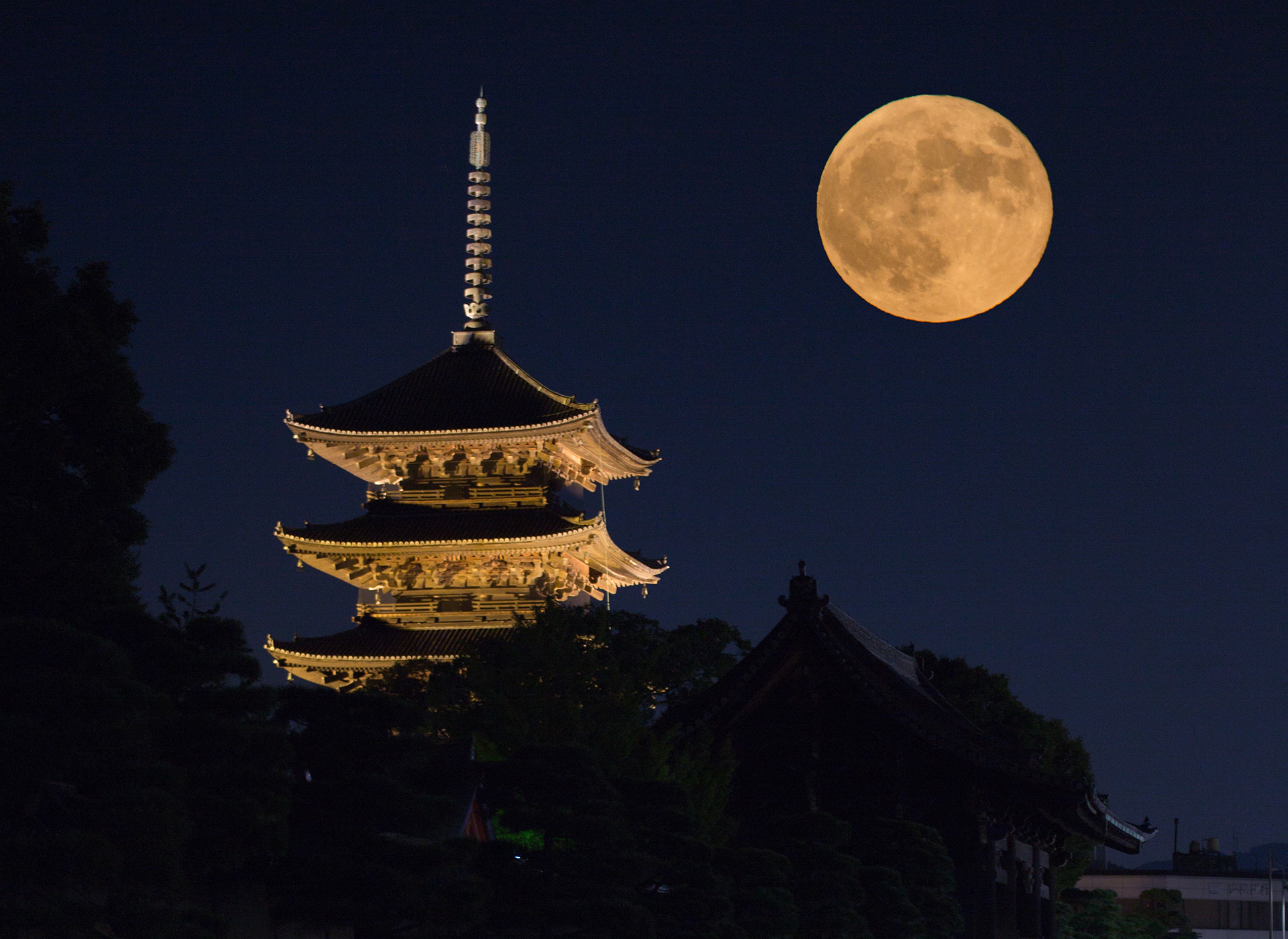 The Moon in Japanese Culture: Traditions, Legends, and Landmarks ...