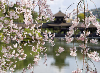 The Japanese Sense of Seasons and Its Deep Connection to Art | Japanese ...